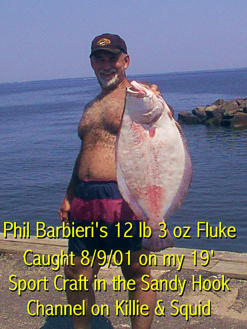 Fluke (Summer Flounder)
