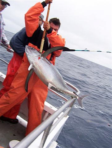 Prowler 5 fishing charter Atlantic Highlands, NJ